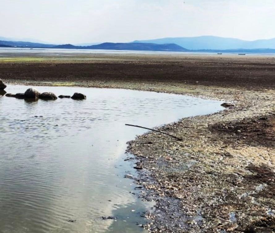 La Laguna de Yuriria, al borde de la extinción.